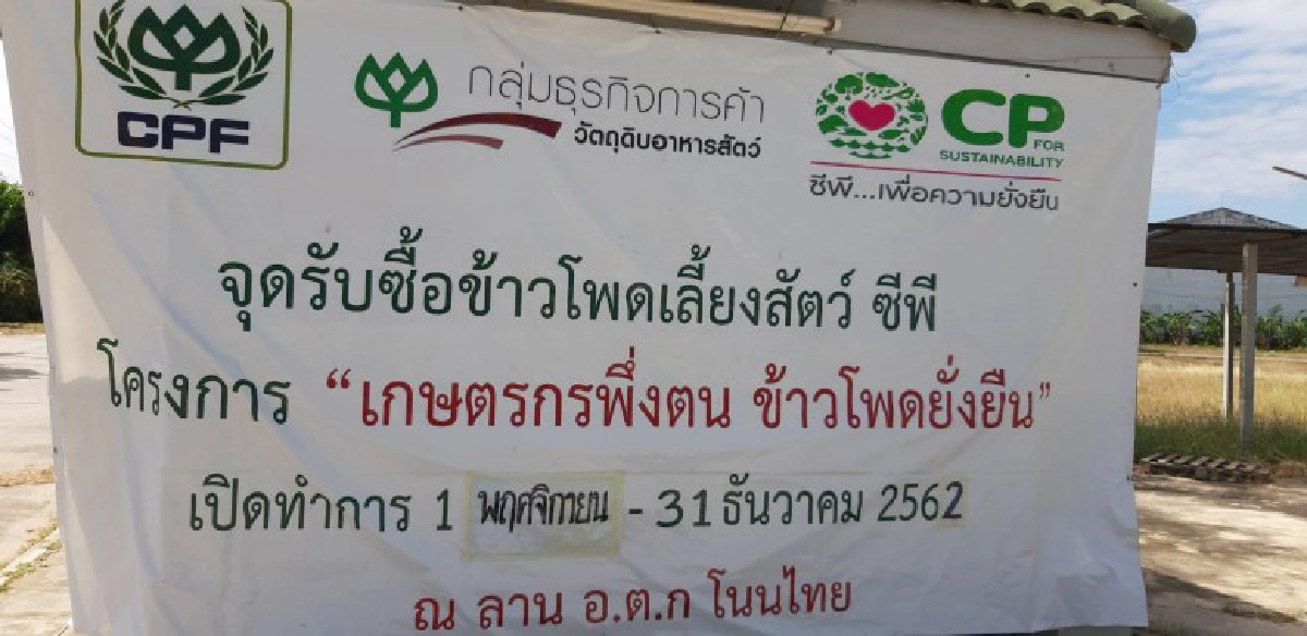 "บัลลังก์โมเดล"ต้นแบบชุมชนเกษตรกรปลูกข้าวโพดยั่งยืน