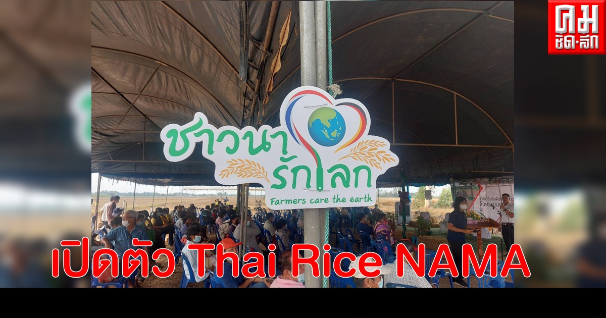 กรมการข้าวจับมือ GIZ เปิดตัว Thai Rice NAMA ปรับการทำนาวิถีใหม่ เพิ่มผล ...