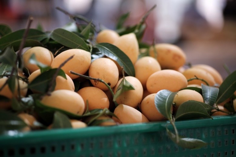 "Mango of SIAM" ที่สุดแห่งมะม่วงไทย ถูกใจทั่วโลก