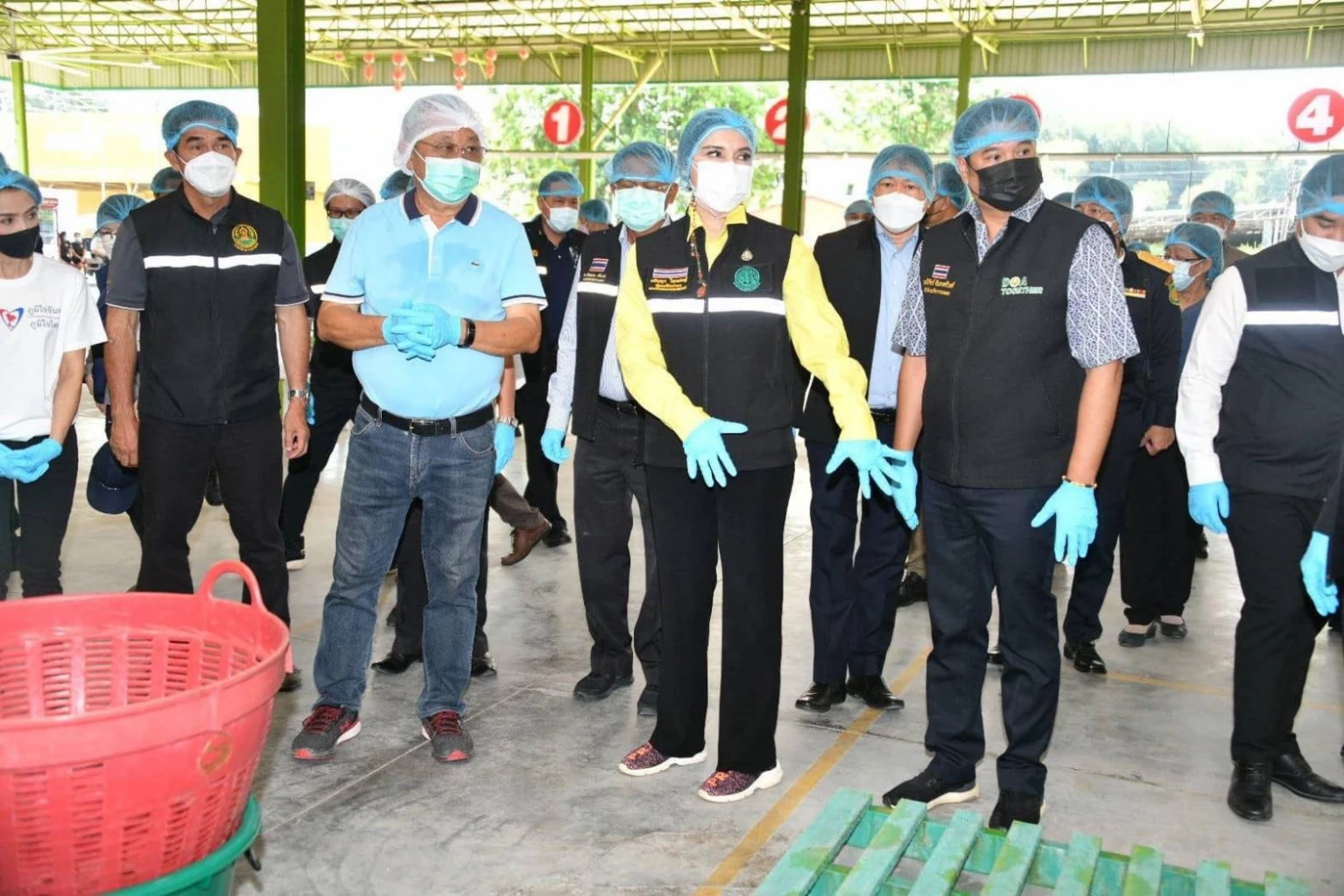 กรมวิชาการเกษตร ย้ำส่งออก "ทุเรียน" ไปจีนยึดมาตรการ GMP Plus และ GAP