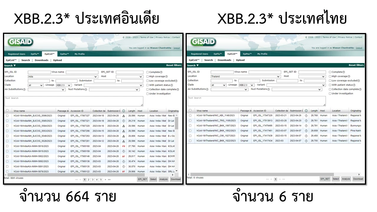 'โอไมครอนลูกผสม XBB.2.3' Acrux ระบาดหนัก กำลังจะแทนที่ XBB.1.16 ไทยพบแล้ว 6