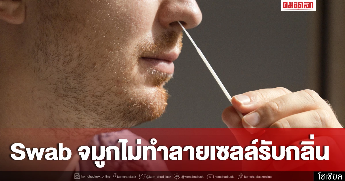 เช็คเลย Swab จมูกหา "โควิด" ทำลายเซลล์รับกลิ่นและส่วนปกป้องสมองหรือไม่ ...