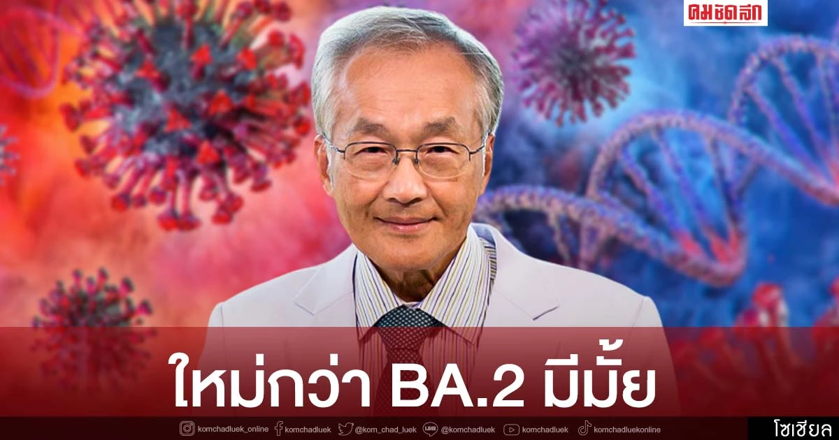 TACC flags the use of "Green Carton" by SCG Packaging - News Directory 3