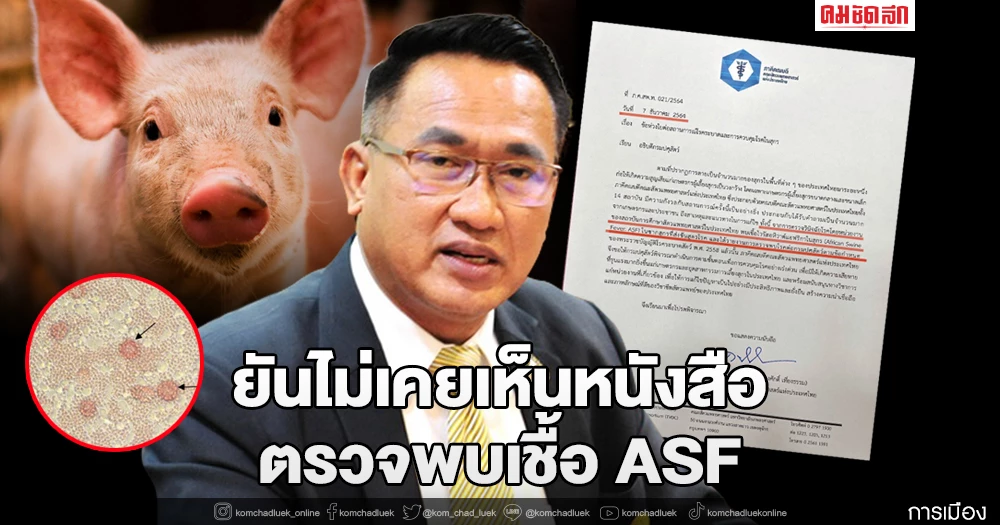 "อธิบดีปศุสัตว์" ยันไม่เห็นหนังสือพบเชื้อASFในหมู ตั้งกก.สอบข้อเท็จจริง ...