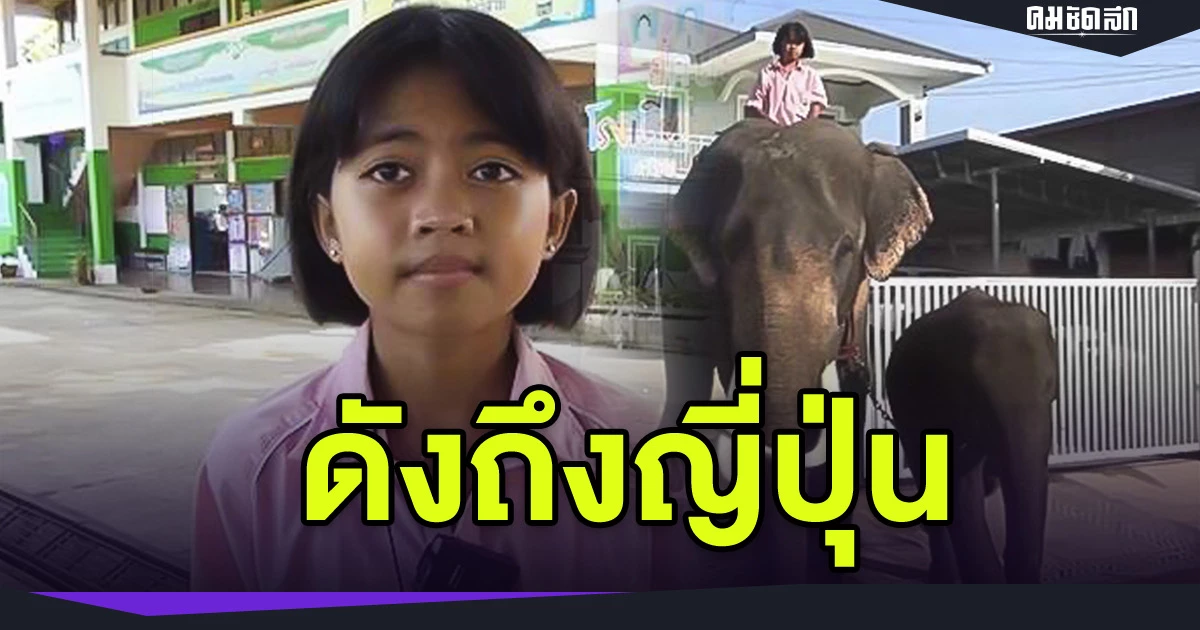 Famous in Japan, "Nong Pupae" rode an elephant to school. Ask for a ...