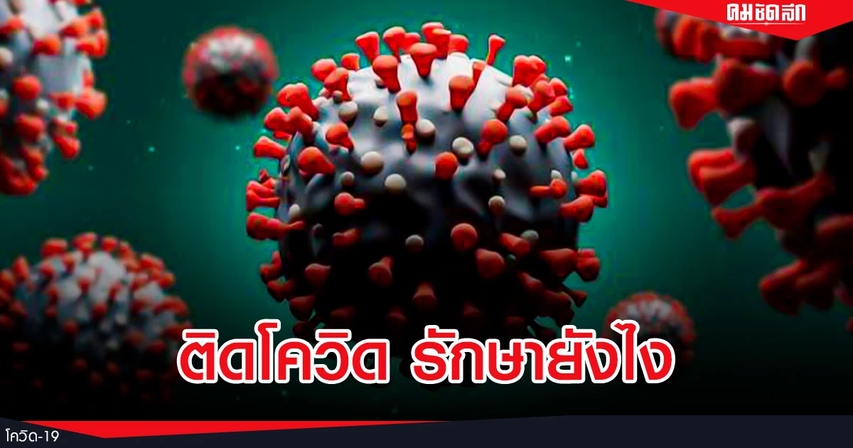 "10 provinces with the most infections" Chiang Mai - Prachuap Khiri ...