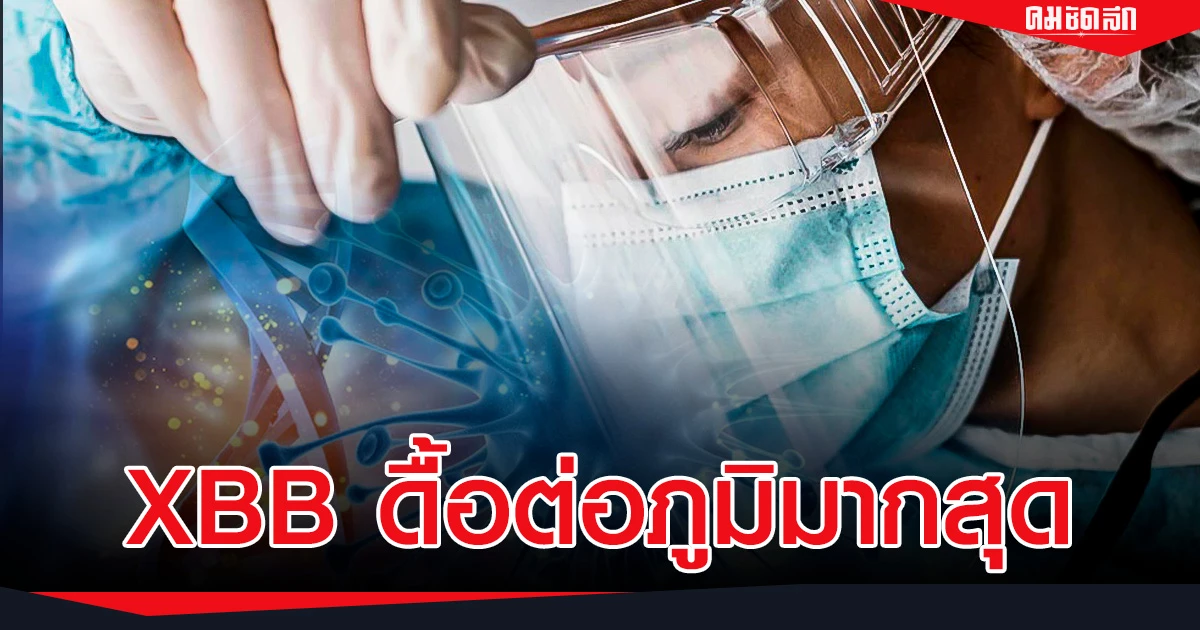 "โอไมครอน" BQ.1.1 - XBB ดื้อต่อ ภูมิคุ้มกัน มากสุด วัคซีนโควิด 3 เข็ม เอาไม่อยู่ | คมชัดลึก