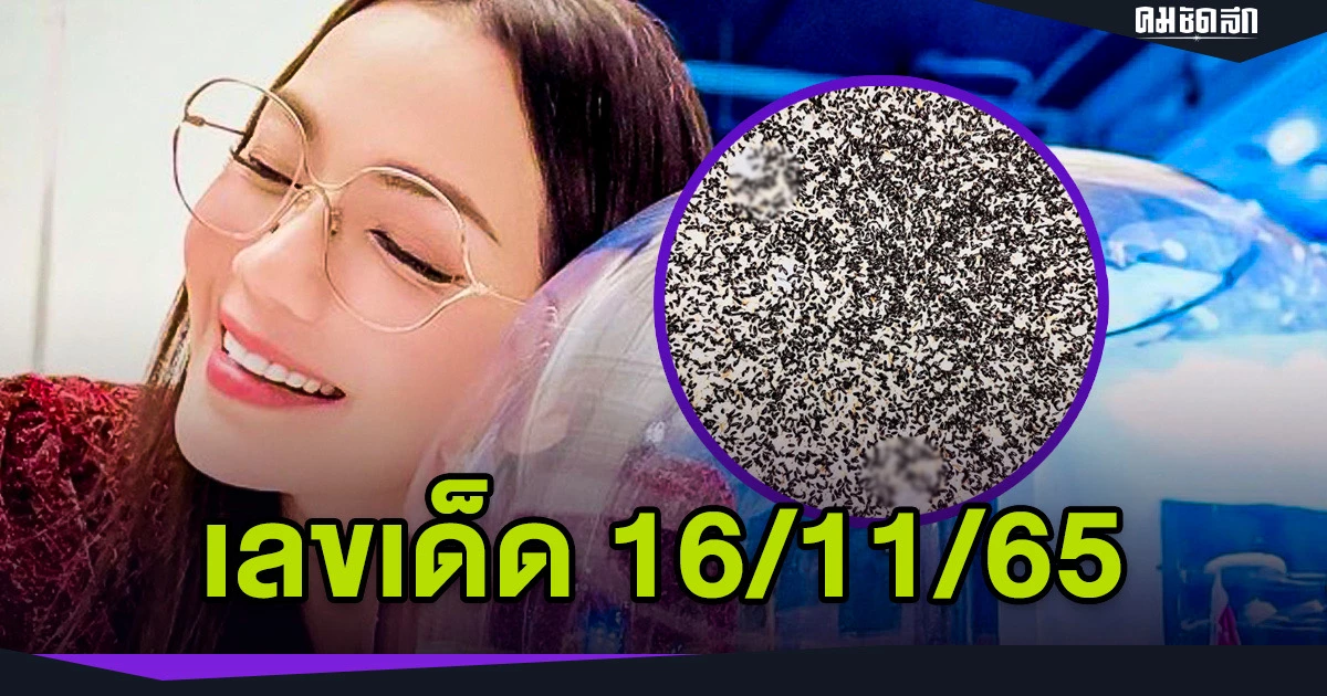 เลขเด็ด 16/11/65 "อ๋อม สกาวใจ" แจก เลข "กระดิ่งเงินกระดิ่งทอง" รวมเลขเด็ด | คมชัดลึก