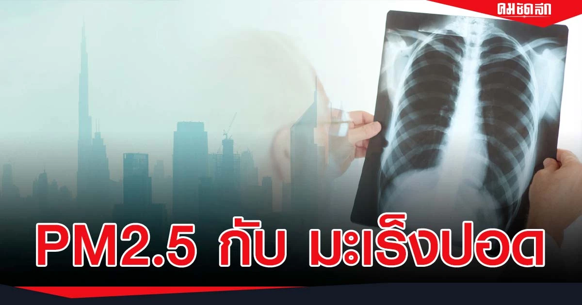 PM2.5 สารก่อ มะเร็ง ที่มีขนาดเล็ก อีกปัจจัยที่ก่อให้เกิด "มะเร็งปอด" | คมชัดลึก