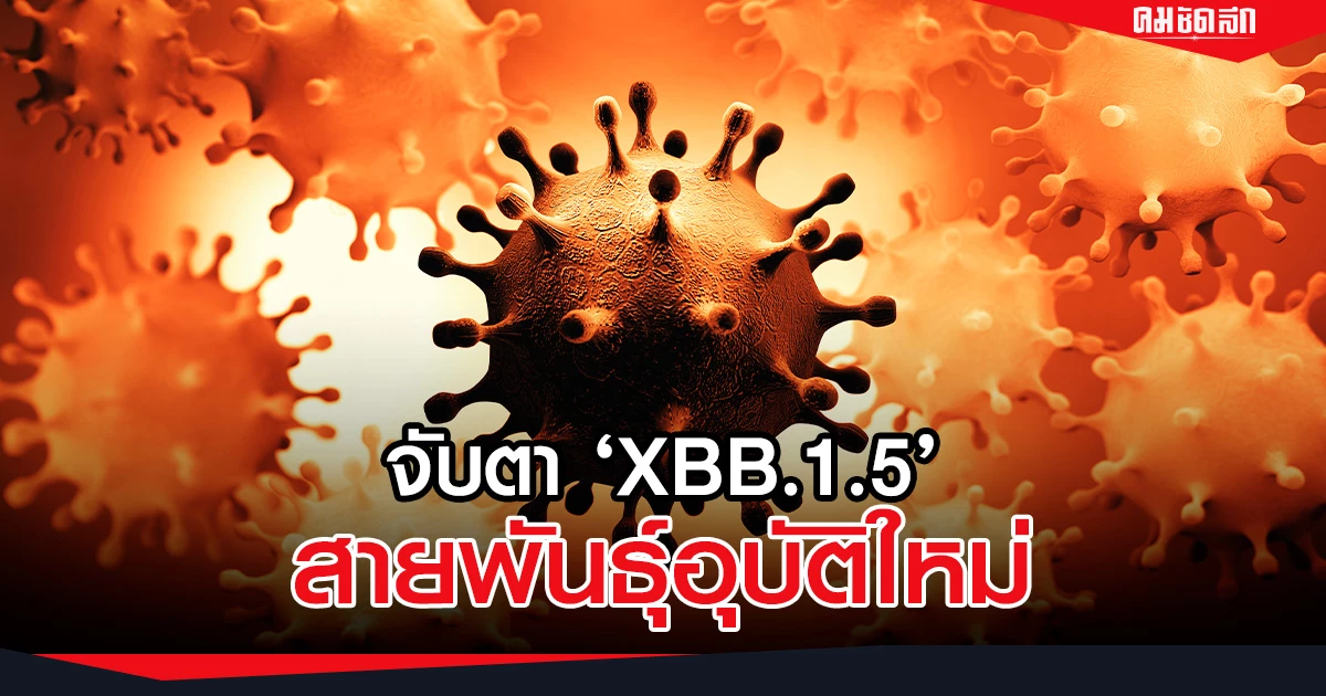 "โควิด19" จับตา XBB.1.5 แพร่เชื้อไวสุด สายพันธุ์อุบัติใหม่ที่น่ากังวล | คมชัดลึก