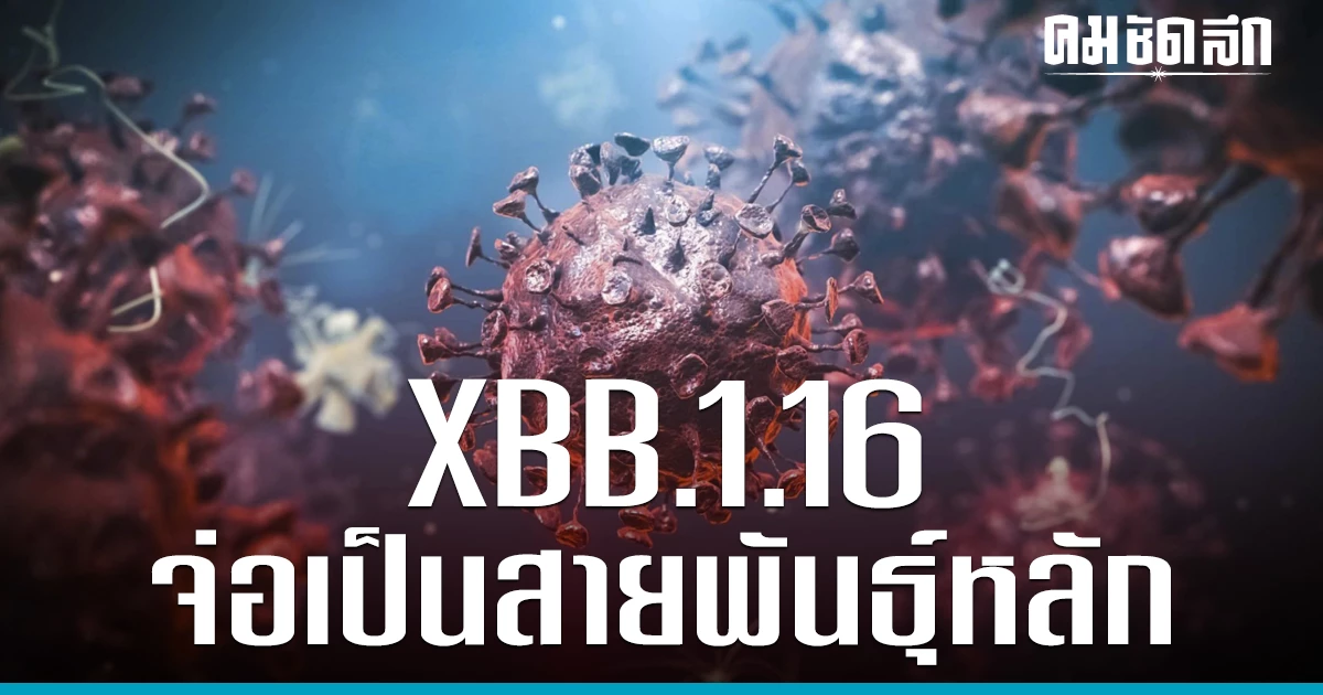 โควิด 'XBB.1.16' จ่อเป็นสายพันธุ์หลัก ทั่วโลกระบาดมากขึ้นอย่างรวดเร็ว | คมชัดลึก