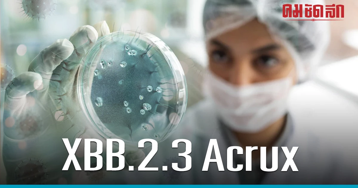 'โอไมครอนลูกผสม XBB.2.3' Acrux ระบาดหนัก กำลังจะแทนที่ XBB.1.16 ไทยพบแล้ว 6 | คมชัดลึก
