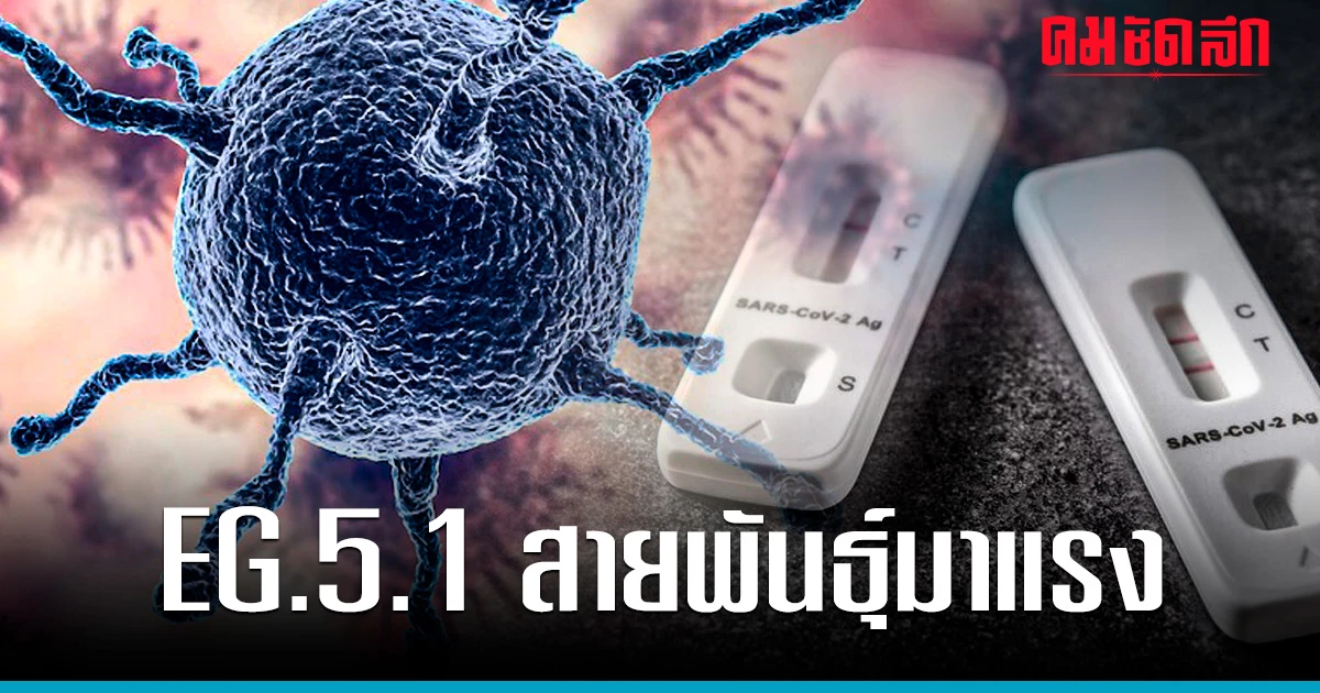 'EG.5.1' สายพันธุ์มาแรง แนวโน้มนำระบาดในไทย แทนที่ โอไมครอน XBB | คมชัดลึก