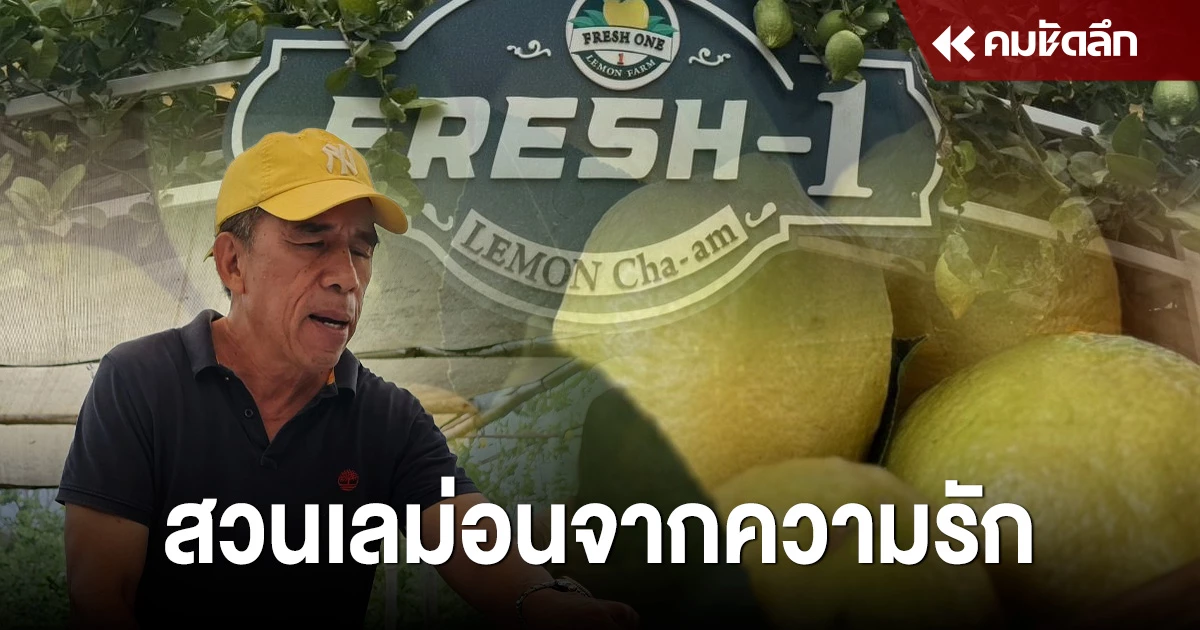 Fresh-1 Lemon farm 'สวนเลม่อน" จากใจรักสู่แลนด์มาร์คท่องเที่ยวชะอำ ...